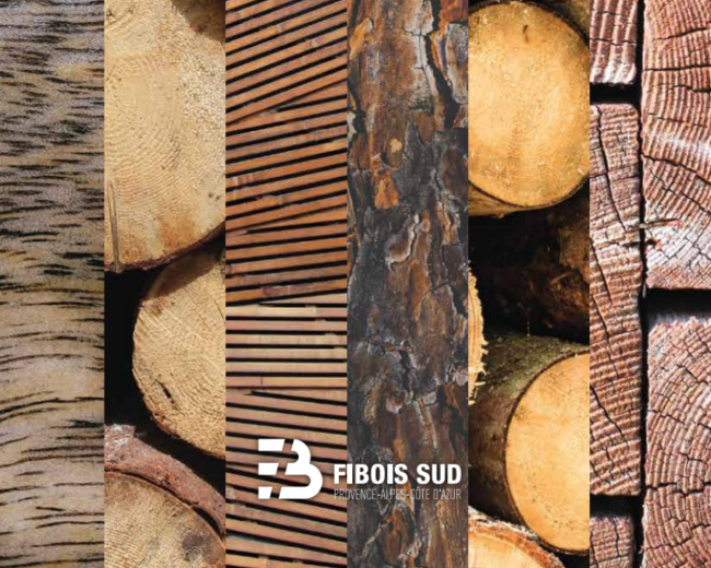 19.12 Participez aux rencontres régionales Forêt-Bois 2023 organisées par FIBOIS SUD | Ordre des ...